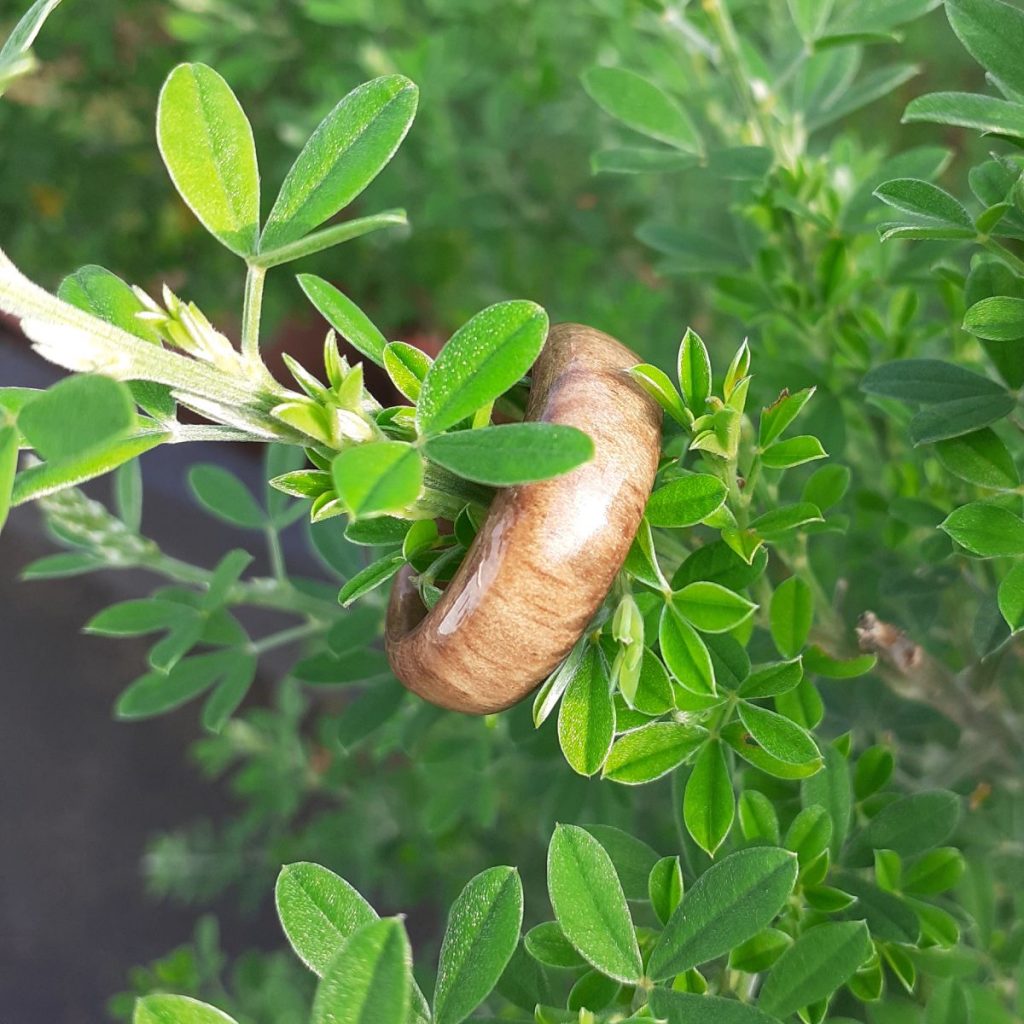NZ Native Puriri Solid Wood Ring - NZ NATIVE WOOD RINGS